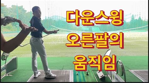 오른어깨 덤비시는분 필수 시청 Youtube