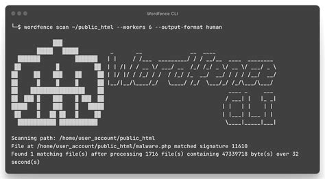 Introducing Wordfence Cli A High Performance Malware Scanner Built For The Command Line