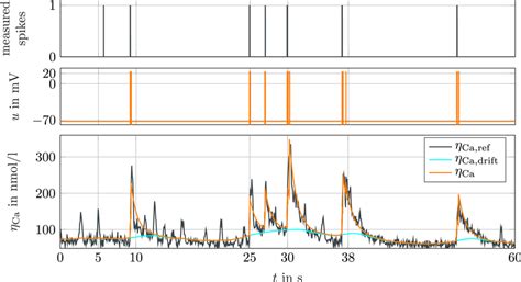Emulation Results For Mimicking The First Exemplary Visual Cortex Download Scientific Diagram