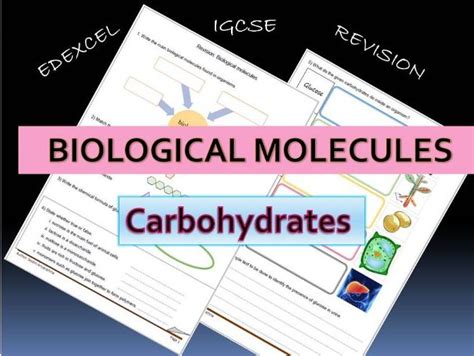 Igcse Biological Molecules Revision Teaching Resources