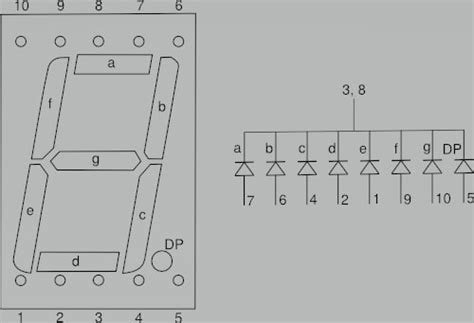 Display Segmenti Jucetize