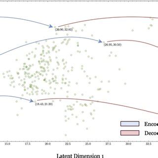 A Convolutional Autoencoder Trained On A Dataset Of Mature Brassica Download Scientific Diagram