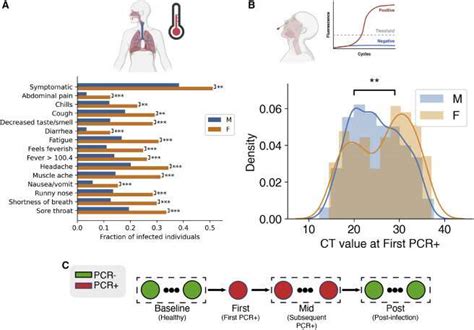 Study Explores Sex Differences In The Effects Of SARS CoV In Babe Adults