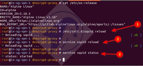 Reload Squid Proxy Server Without Restarting Squid Daemon NixCraft