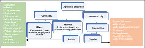 Understanding The Multifunctionality Of Agriculture Production For Sustainable Rural Livelihoods