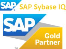 Sap Iq Big Data Management Sybase Iq Sybase Influential