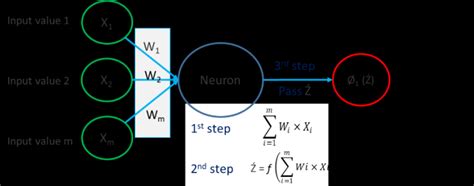Neuron Of Hidden And Output Layers Download Scientific Diagram
