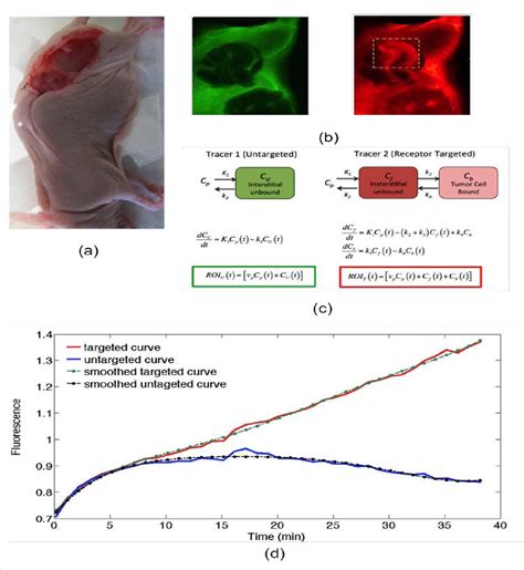 Figure 1 From Comparison Of Kinetic Models For Dual Tracer Receptor