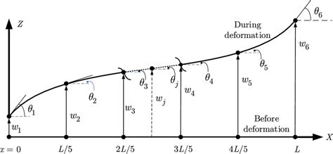 Beam Discretization Using Fourier P Element Download Scientific Diagram