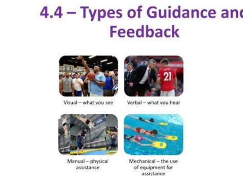 OCR GCSE PE Paper Types Of Guidance And Feedback Teaching Resources