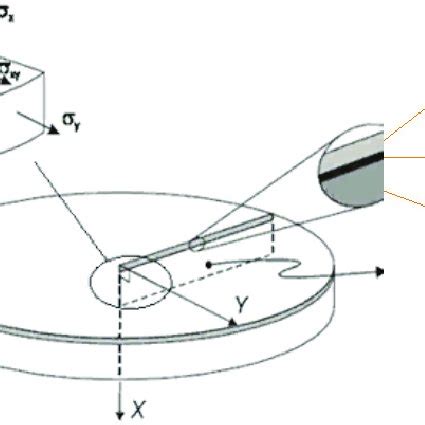 Geometry Of The Model The Radial Direction Is Denoted By Y The Download Scientific Diagram