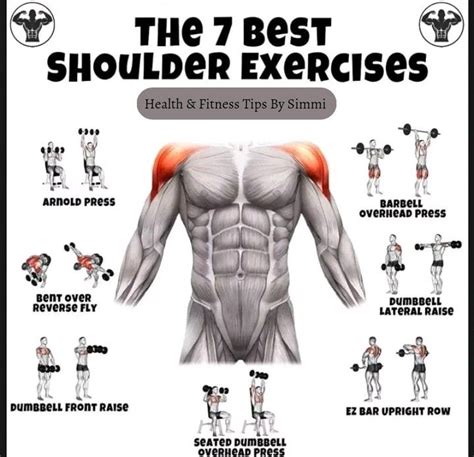 The 7 Best Shoulder Exercises💪🏻😉 Best Shoulder Workout Shoulder