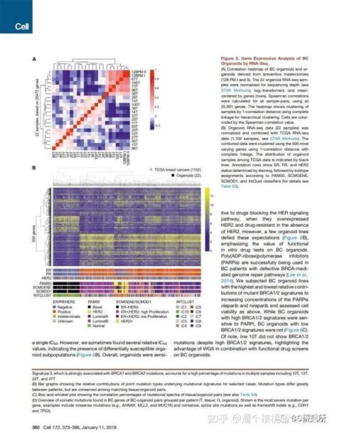 Sci论文图片要求和作图规范 知乎