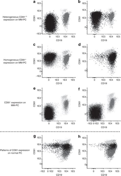 Bivariate Dot Plot Histograms Illustrating The Patterns Of Cd81 Vs Cd19