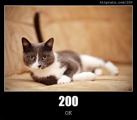 200 Ok Status Code And Cats
