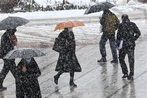 عکس تصویر جالب از پارک لاله تهران در شب برفی پایتخت خبرآنلاین