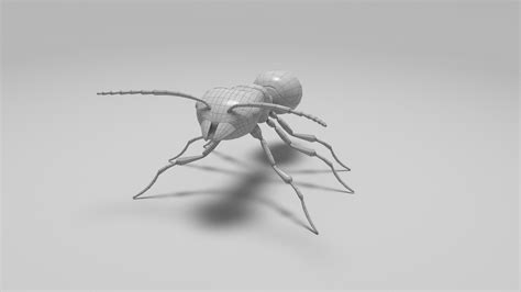 3d Black Ant Model Turbosquid 1990669