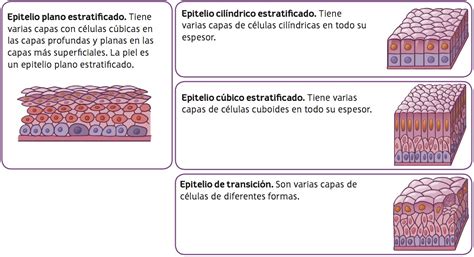 Blink Activity Blinklearning