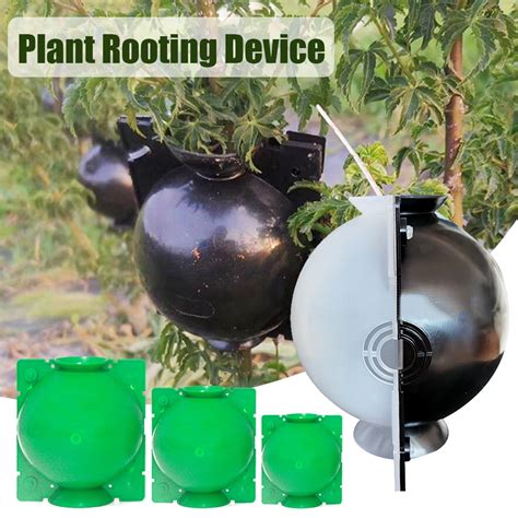 High Pressure Assisted Indoor Outdoor Plant Rootin Vicedeal