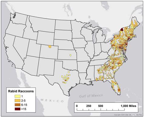 2013 Surveillance Rabid Raccoons Reported In The United States During