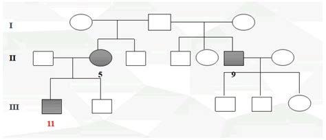 Identical Ltbp2 Mutation In Poag Patients And High Risk Individual From