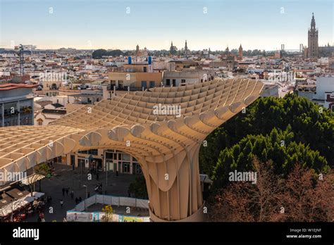 Setas De Sevilla Metropol Parasol Wooden Modern Architecture