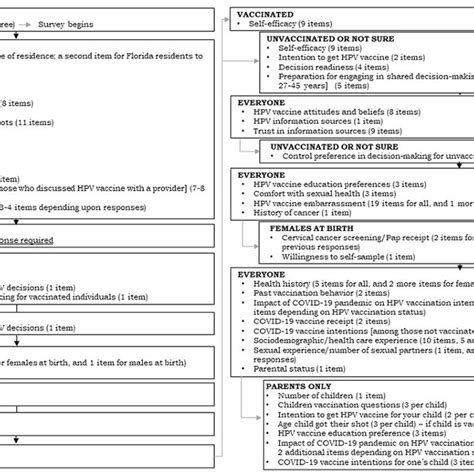 Survey Schema Illustrating Branching Logic Survey Title And Number Of