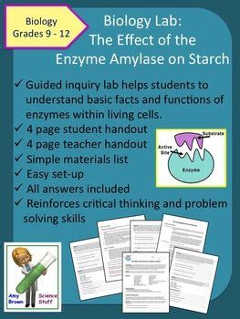 Biology Lab The Effect Of The Enzyme Amylase On Starch Biology Labs