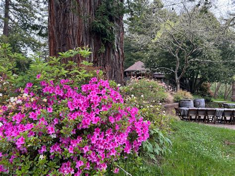 Fieldbrook Winery Mckinleyville Ca