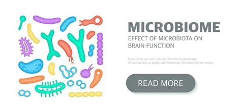 Human Microbiome Vector Art Icons And Graphics For Free Download