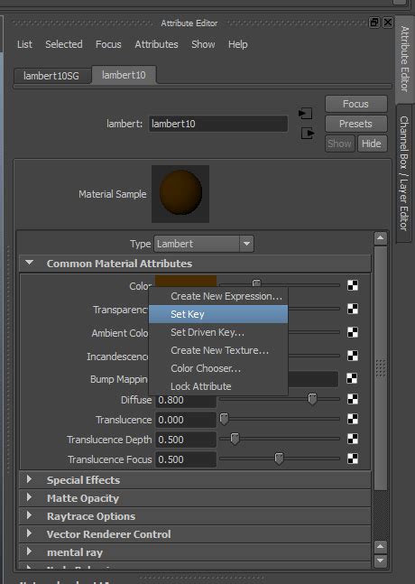 242 Attribute Editor Download Scientific Diagram