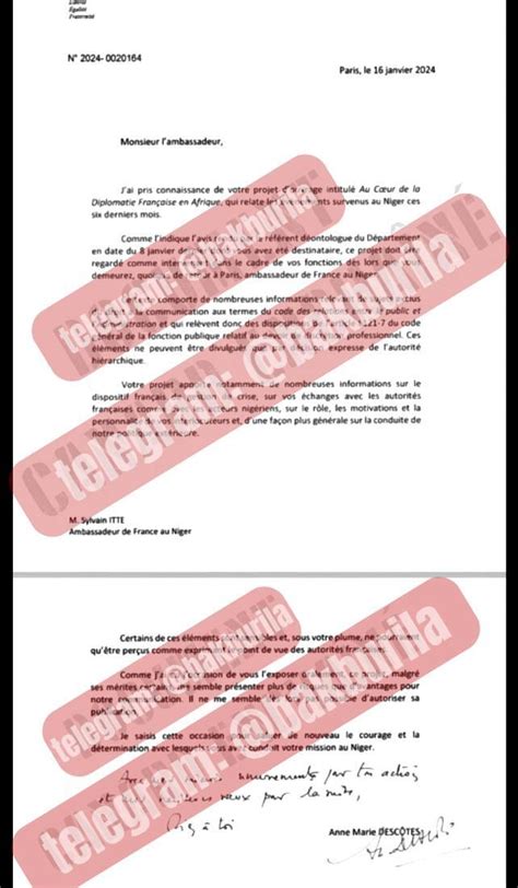 МИД Франции запрещает послу в Нигере публиковать книгу о провале