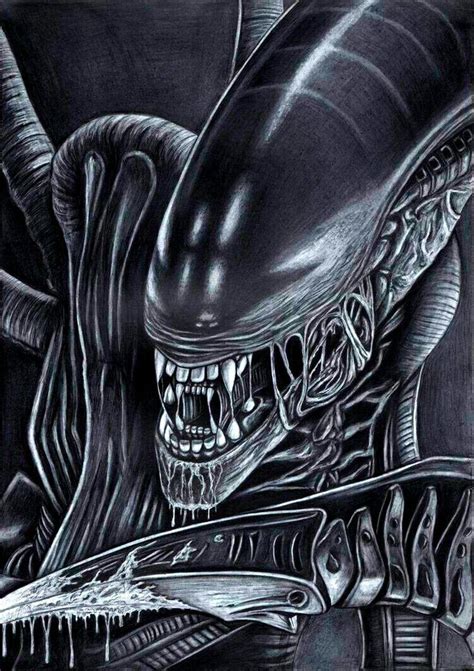 Pin P Alien