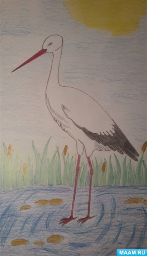 Мастер класс по рисованию цветными карандашами «Аист 11 фото Воспитателям детских садов