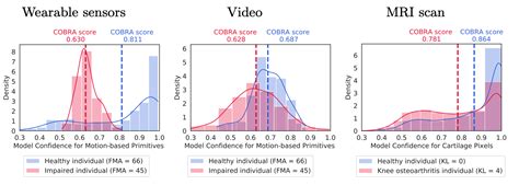 COBRA The Official Repository For Quantifying Impairment And Disease Severity Using AI Models