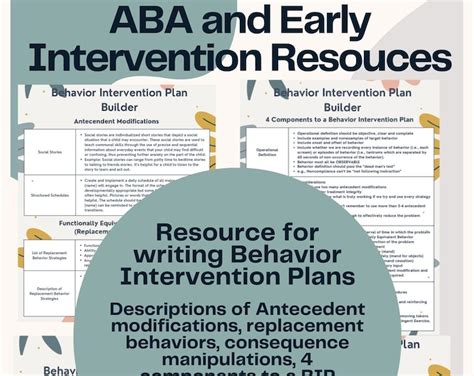 Behavior Intervention Plan Bip At A Glance Digital Download