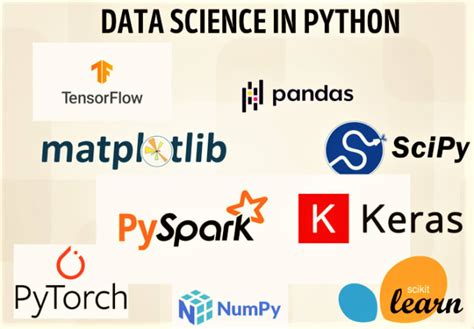 Do Projects In Python Jupyter Notebooks Pandas Numpy Machine Learning By Leyash1 Fiverr