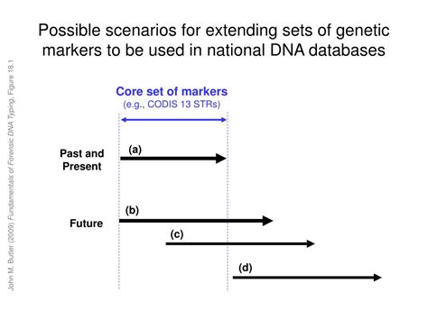 Ppt Fundamentals Of Forensic Dna Typing Powerpoint Presentation Free