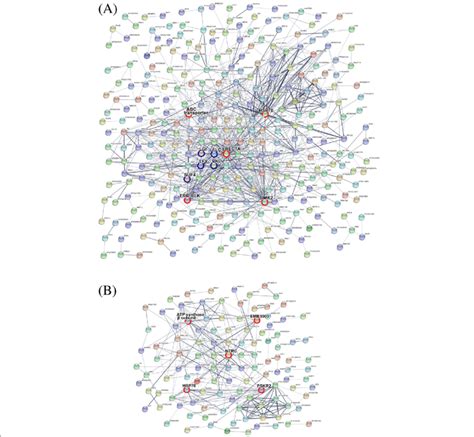 Network Component Analysis For The Proteins Within The Wgcna Modules