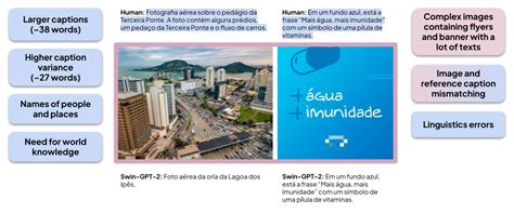 a comparative evaluation of transformer based vision encoder decoder models for brazilian
