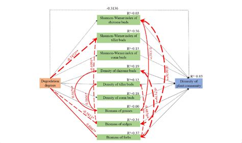 Structural Equation Model For Estimating The Correlations Between