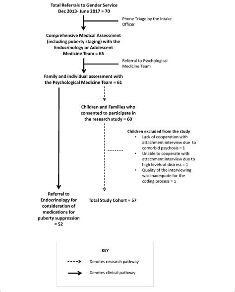 The Assessment Pathway Within The Multidisciplinary Gender Service