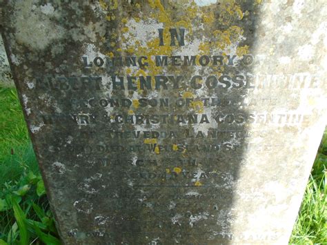 Albert Henry Cossentine 1852 1892 Find A Grave Memorial