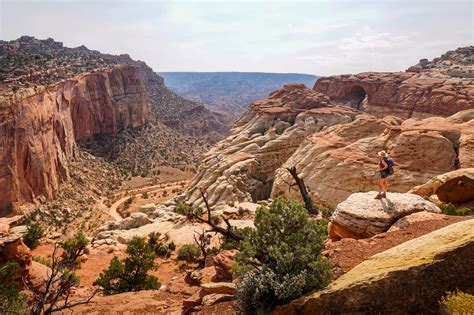 Capitol Reef National Park