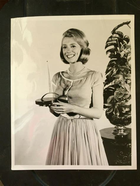 Inger Stevens 1965 Original Vintage Press Headshot Photo 2021077878