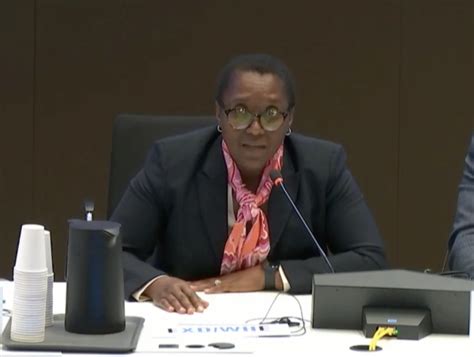 Who Appoints Sex Abuse Investigator As New Internal Auditor Health