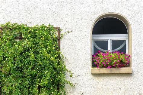 Premium Photo Window And Ivy Home Overgrown With Plants And Flowers