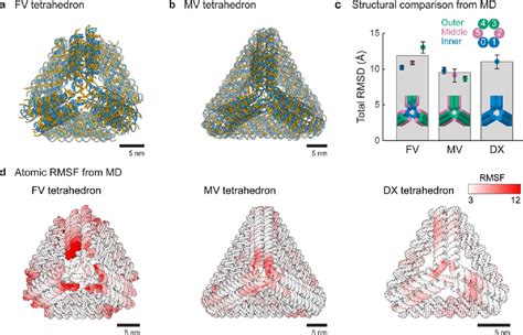 figure 2 from automated sequence design of 3d polyhedral wireframe dna