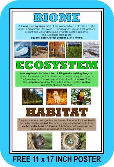 Difference Between Ecosystem Habitat And Environment At Skye Milliner Blog