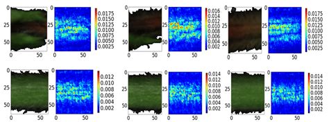 image specific class saliency maps for the infected top and